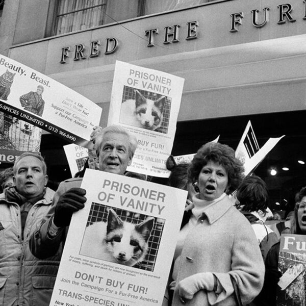 Why Bob Barker Loved Being for Spaying and Neutering