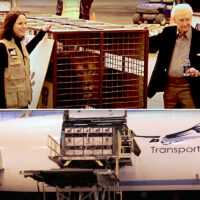 Why Bob Barker Loved Being for Spaying and Neutering