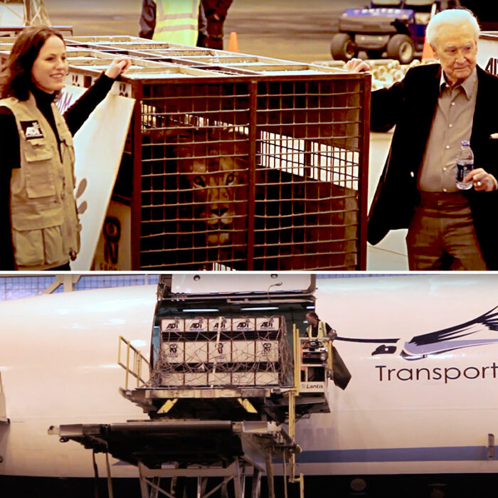 Why Bob Barker Loved Being for Spaying and Neutering