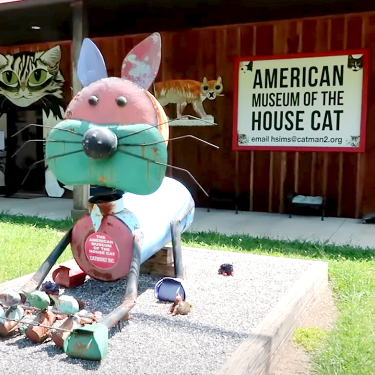 Museum to House Cats in North Carolina a Cat Lover's Purradise!