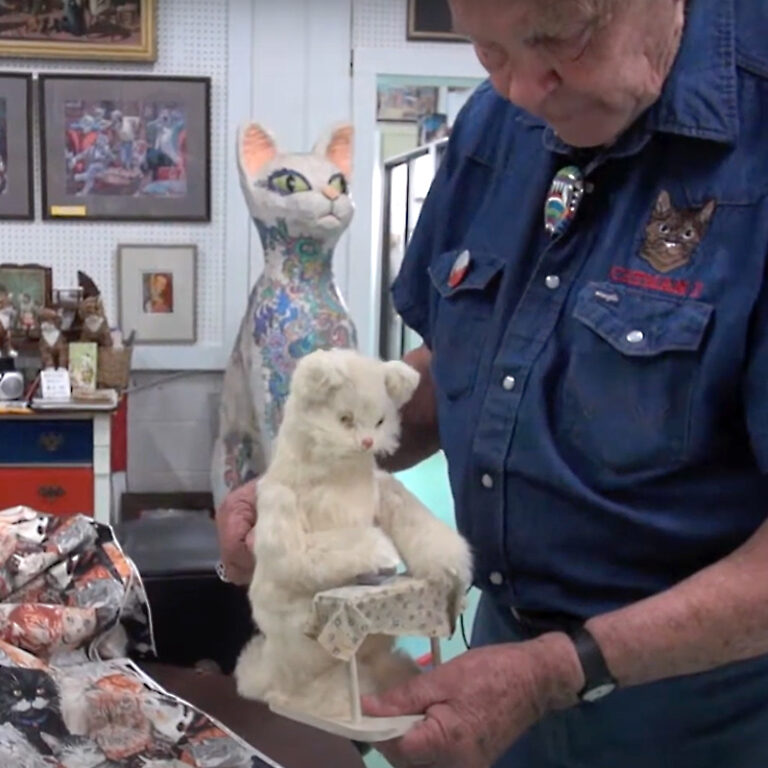 Museum to House Cats in North Carolina a Cat Lover's Purradise!