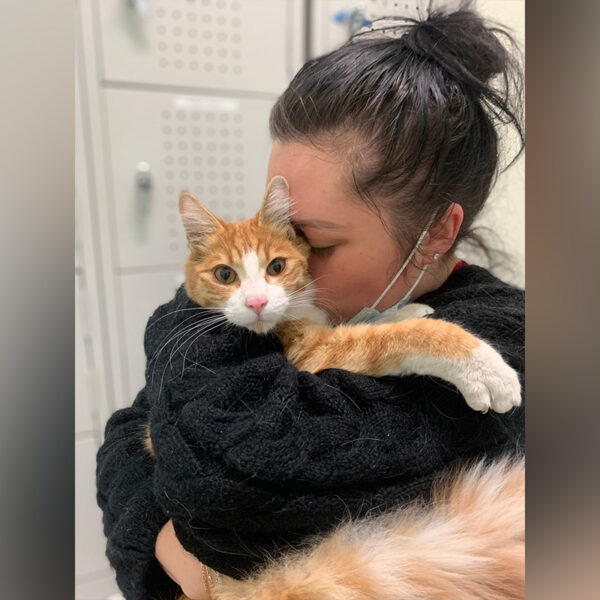 5 Furtastic Facts About TNR –Trap, Neuter, Return Rescuing