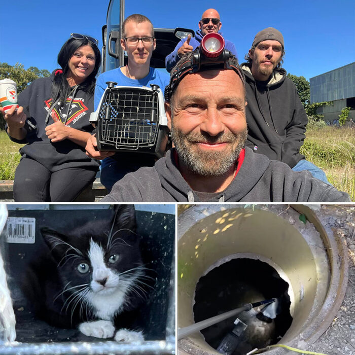 Rescuers Move Mountains to Save Cat Stuck Inside Hot AC Unit