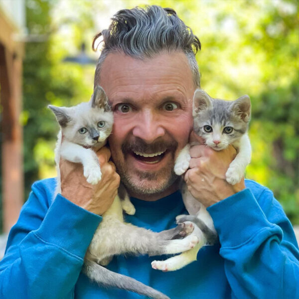 Family Shares Emotional Reunion with Maisie the Missing Cat