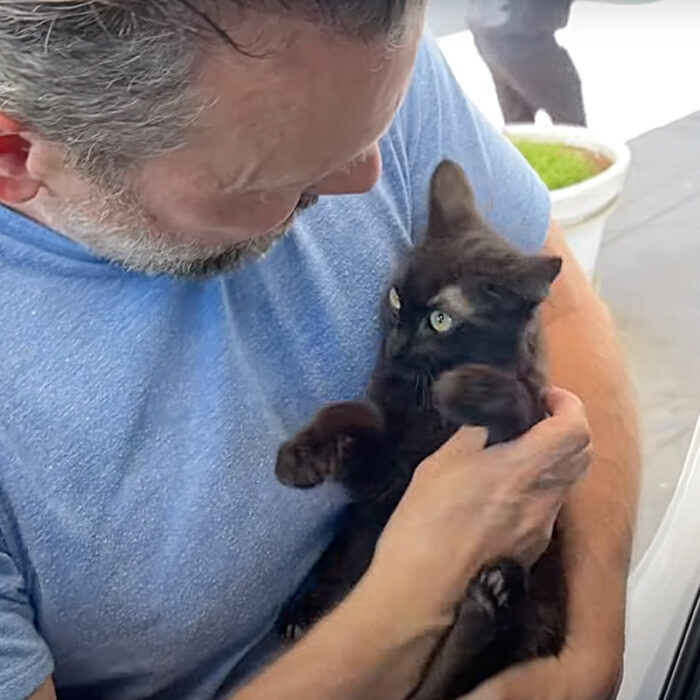 Family Shares Emotional Reunion with Maisie the Missing Cat