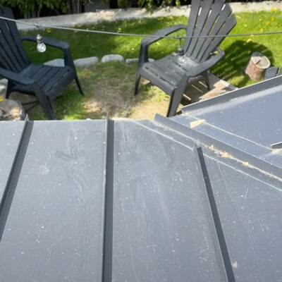 Family Shares Emotional Reunion with Maisie the Missing Cat