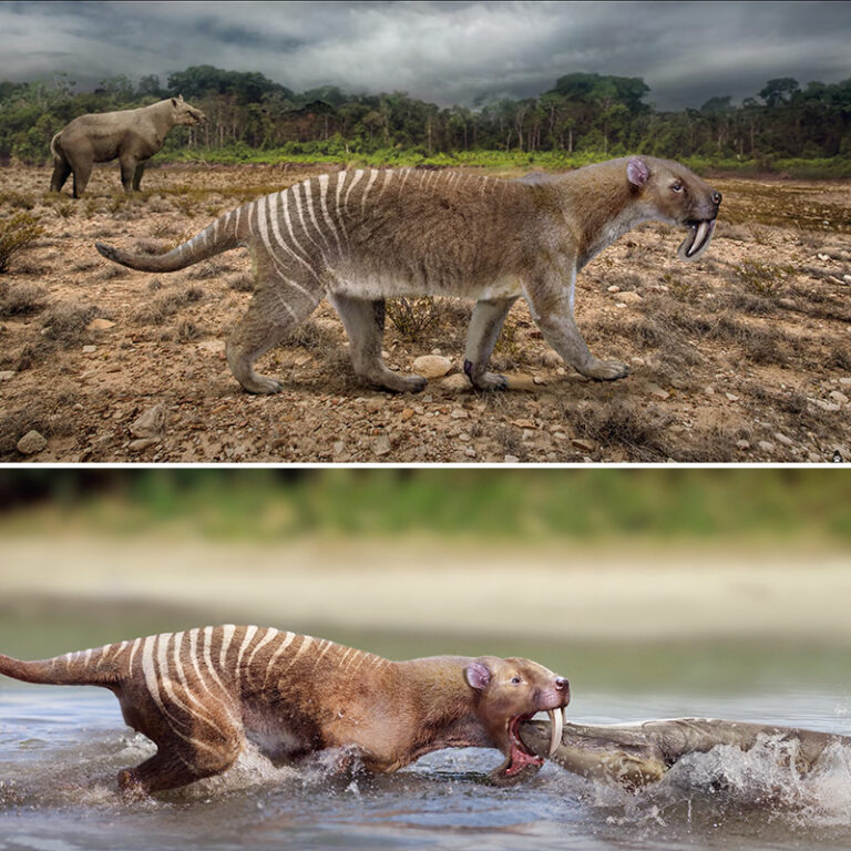 The Biggest, Baddest Prehistoric Cats that Hunted Giant Prey