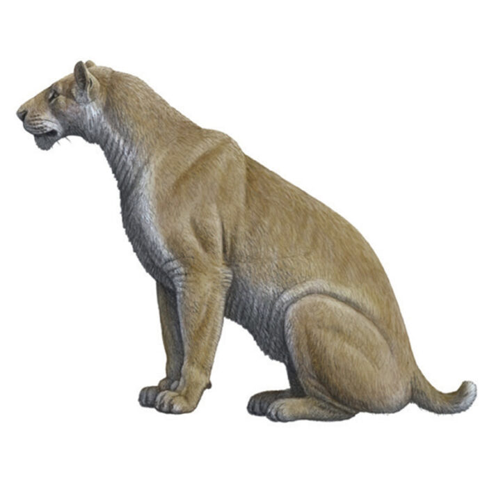 The Biggest, Baddest Prehistoric Cats that Hunted Giant Prey