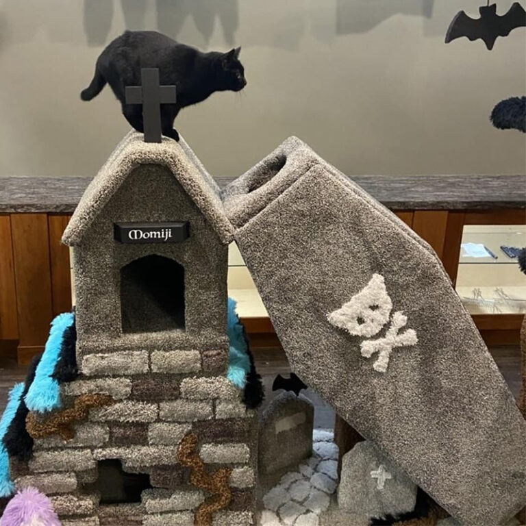 Spooktacular 'Cat Cribs' We'd Want Our Cats to Prowl All Year
