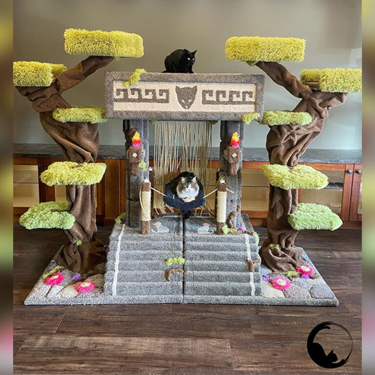 Spooktacular 'Cat Cribs' We'd Want Our Cats to Prowl All Year