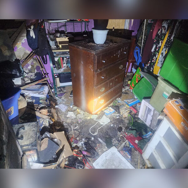 NY Community Saves 20 Cats After a Hoarding House Fire