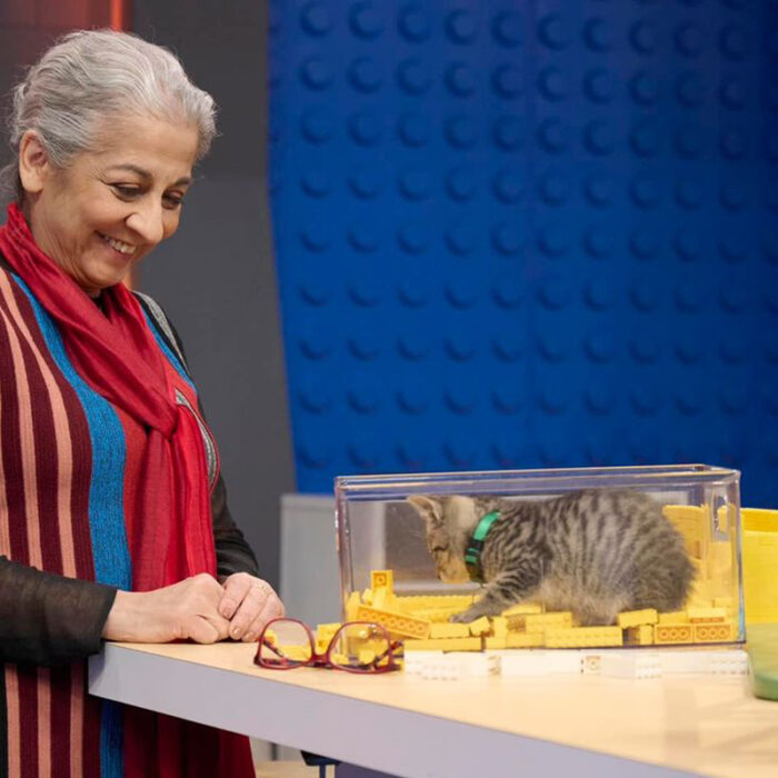 LEGO Masters and Kittens Come Together for a Purrfect Twist