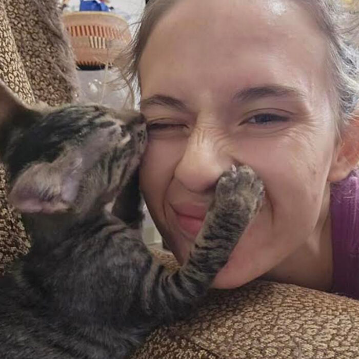 Maui Kitten Walked Through Fire and Straight into Rescuer's Heart