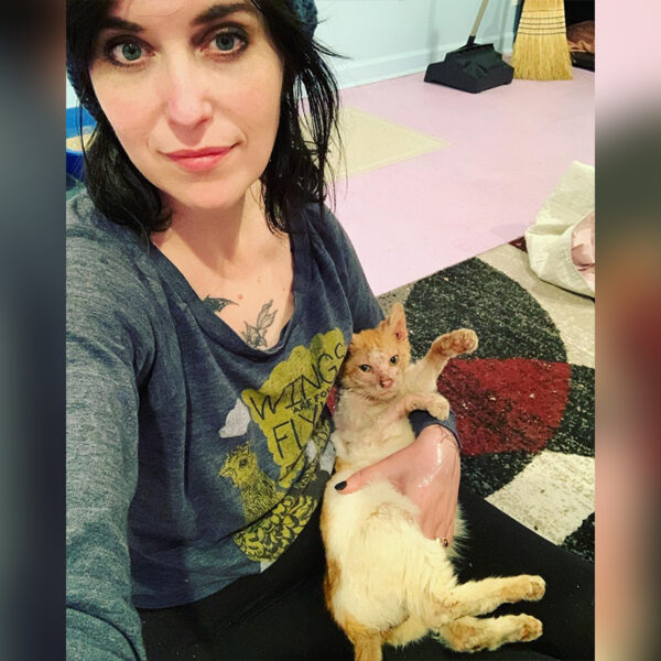 The Return of Saturn the Cat After Rescuers Found Him in the Dirt