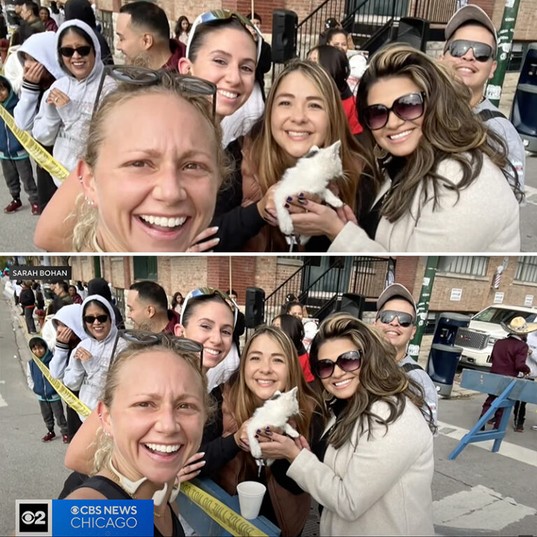 Kitten Wins When Runner Stops to Save Him at Chicago Marathon