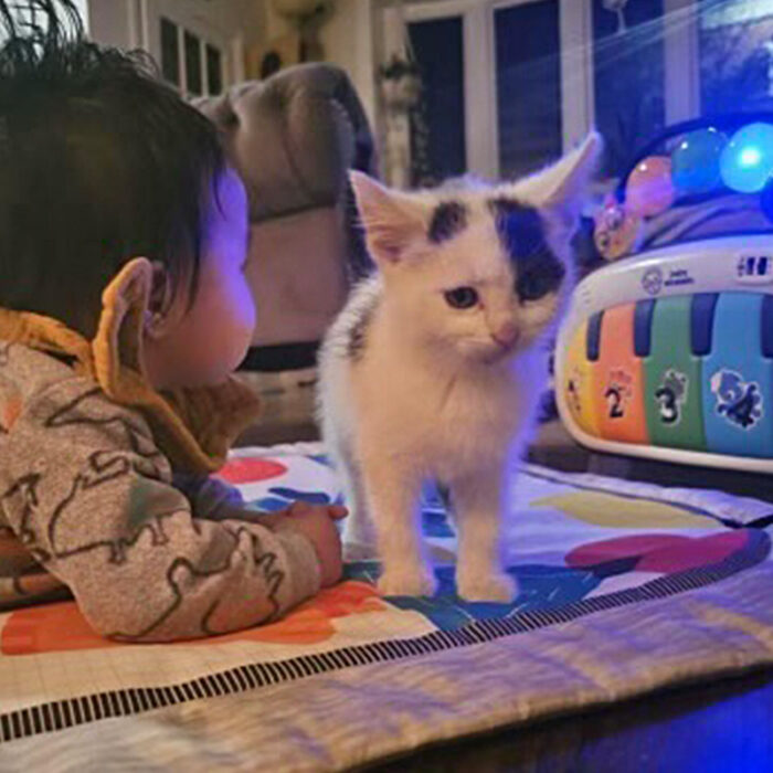 Kitten Wins When Runner Stops to Save Him at Chicago Marathon