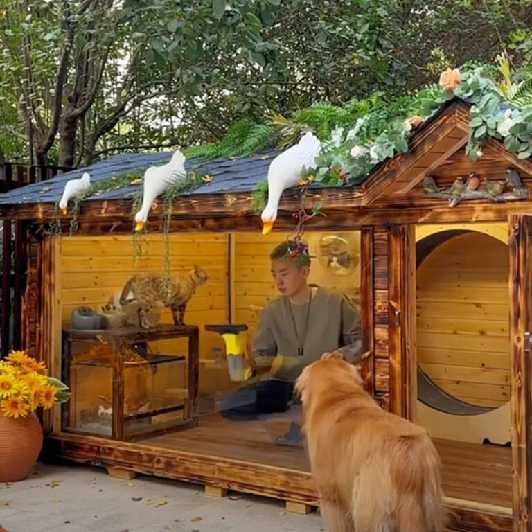 Inspurrational Cat Villa Brings Some Creative Ideas and Feline Fun