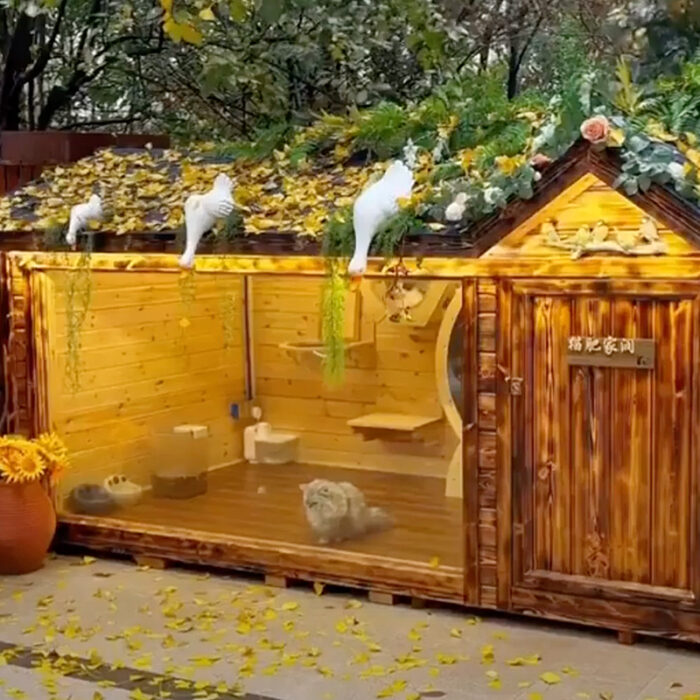 Inspurrational Cat Villa Brings Some Creative Ideas and Feline Fun
