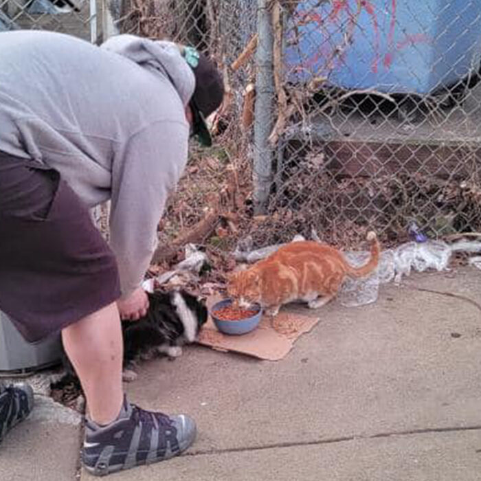 Friendly 'Chapo' the Cat Survives the Philly Streets and Pneumonia