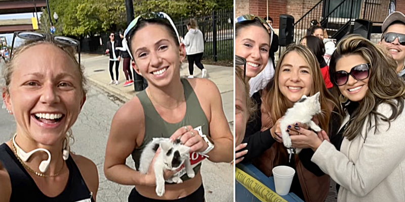 Kitten Wins When Runner Stops to Save Him at Chicago Marathon