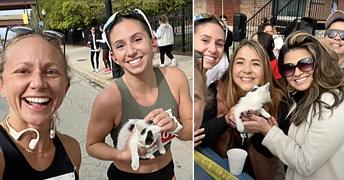 Kitten Wins When Runner Stops to Save Him at Chicago Marathon