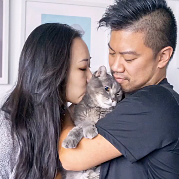 Adopting 'Super Senior' Cats Teaches Rescuer to Care for Herself