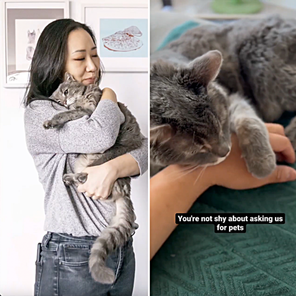 Adopting 'Super Senior' Cats Teaches Rescuer to Care for Herself