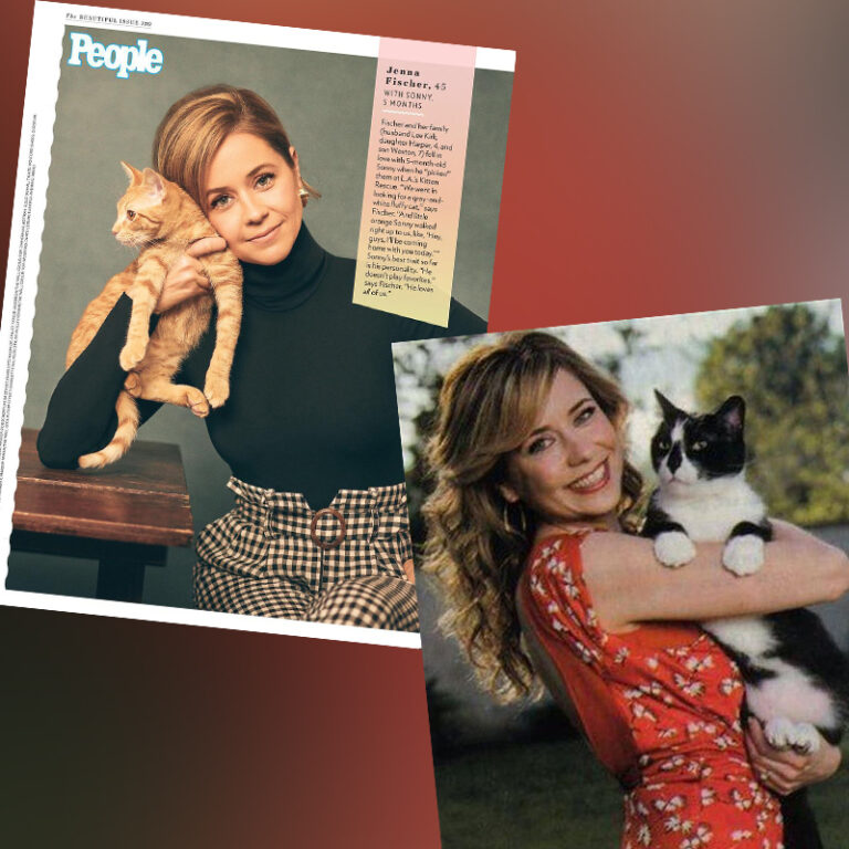 Long-Time Rescuer Jenna Fischer Fosters Three Adorable Kittens