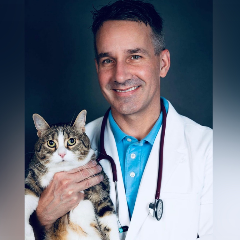 Veterinarian Who Rates Patients Gives Top Marks to Black Kitten