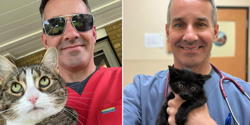 Veterinarian Who Rates Patients Gives Top Marks to Black Kitten