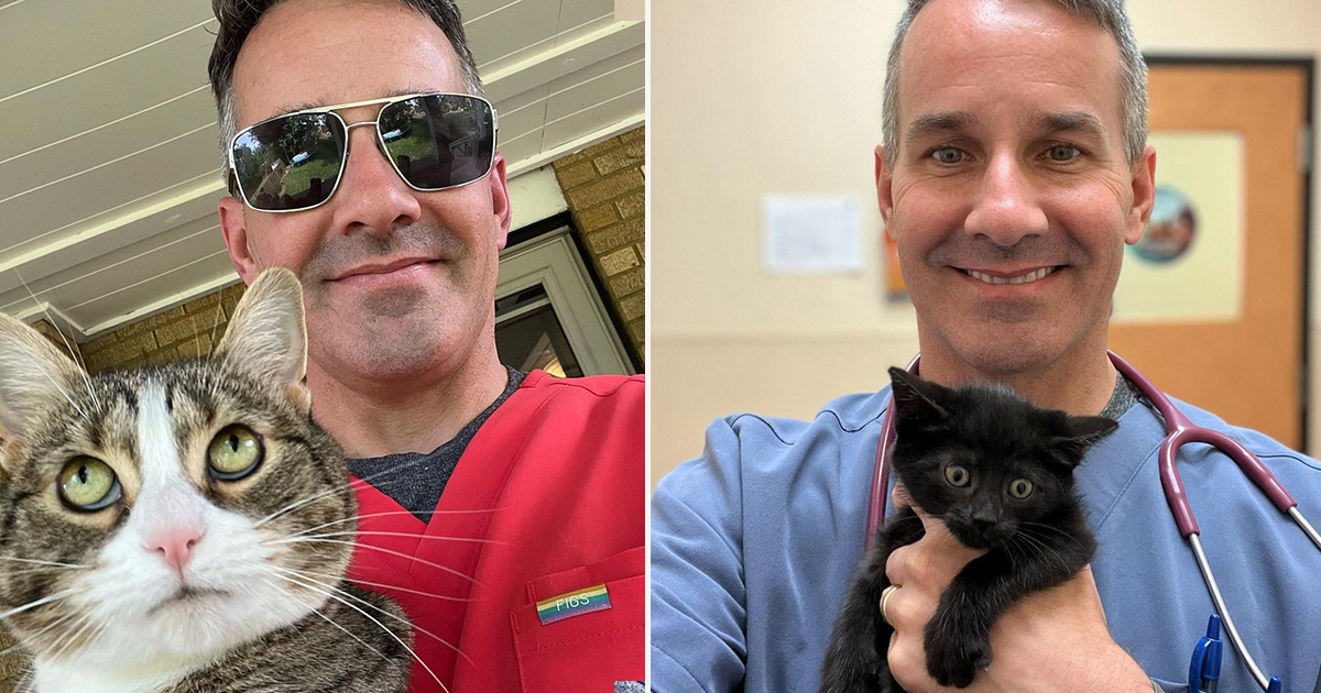 Veterinarian Who Rates Patients Gives Top Marks to Black Kitten
