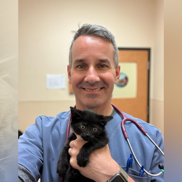 Veterinarian Who Rates Patients Gives Top Marks to Black Kitten