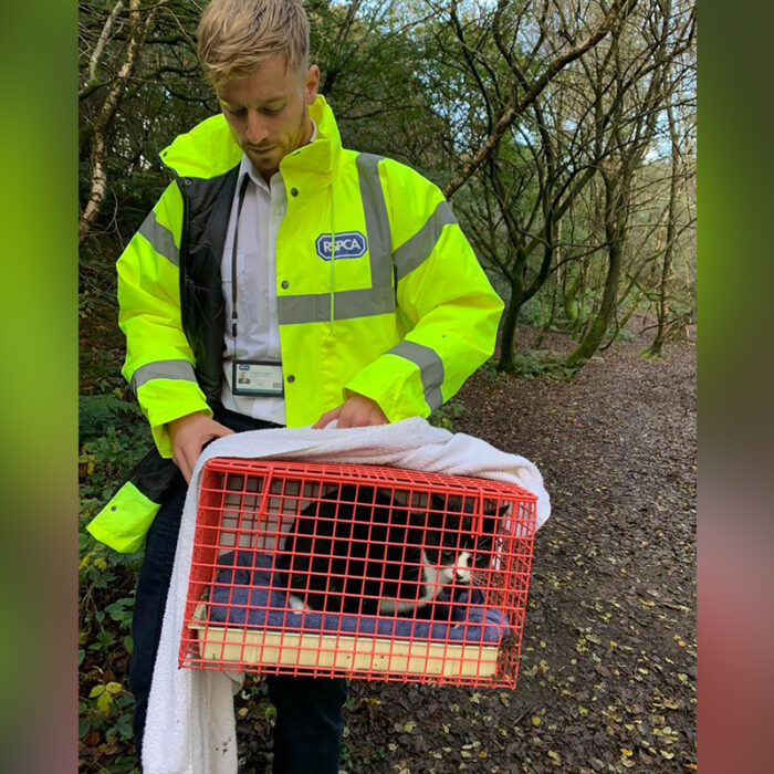 Cat Survives Fall Down Mineshaft Thanks to Protective Family Dog