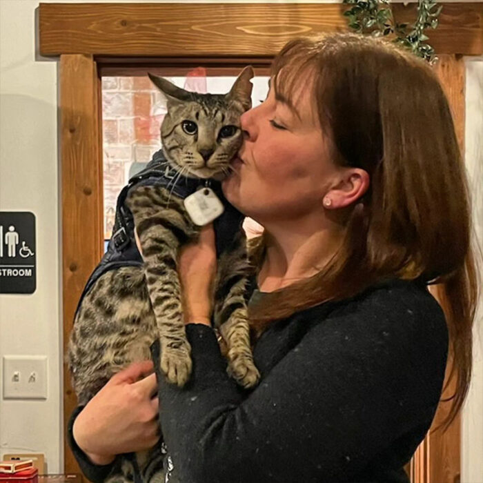 Thrillseeking Adventure Cat in Milwaukee Lives by His Own Rules