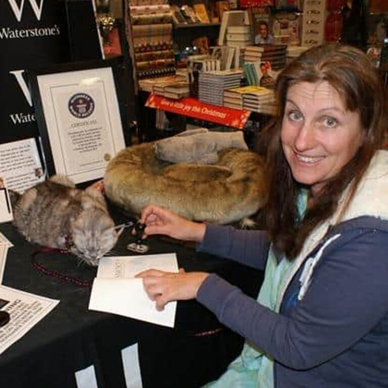 These Senior Cats from the UK are Record-Breaking Purr Monsters