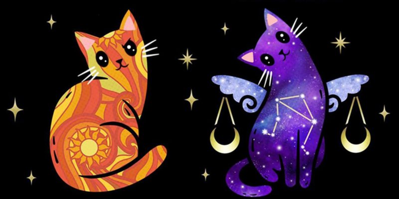 Moonstruck Artist from Jersey Creates Cat Zodiac Signs