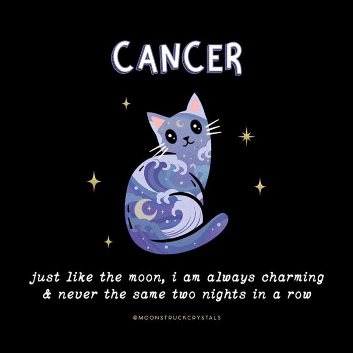 Moonstruck Artist from Jersey Creates Cat Zodiac Signs