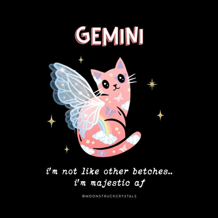 Moonstruck Artist from Jersey Creates Cat Zodiac Signs