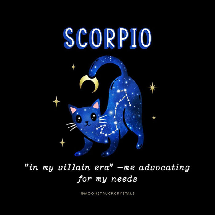 Moonstruck Artist from Jersey Creates Cat Zodiac Signs