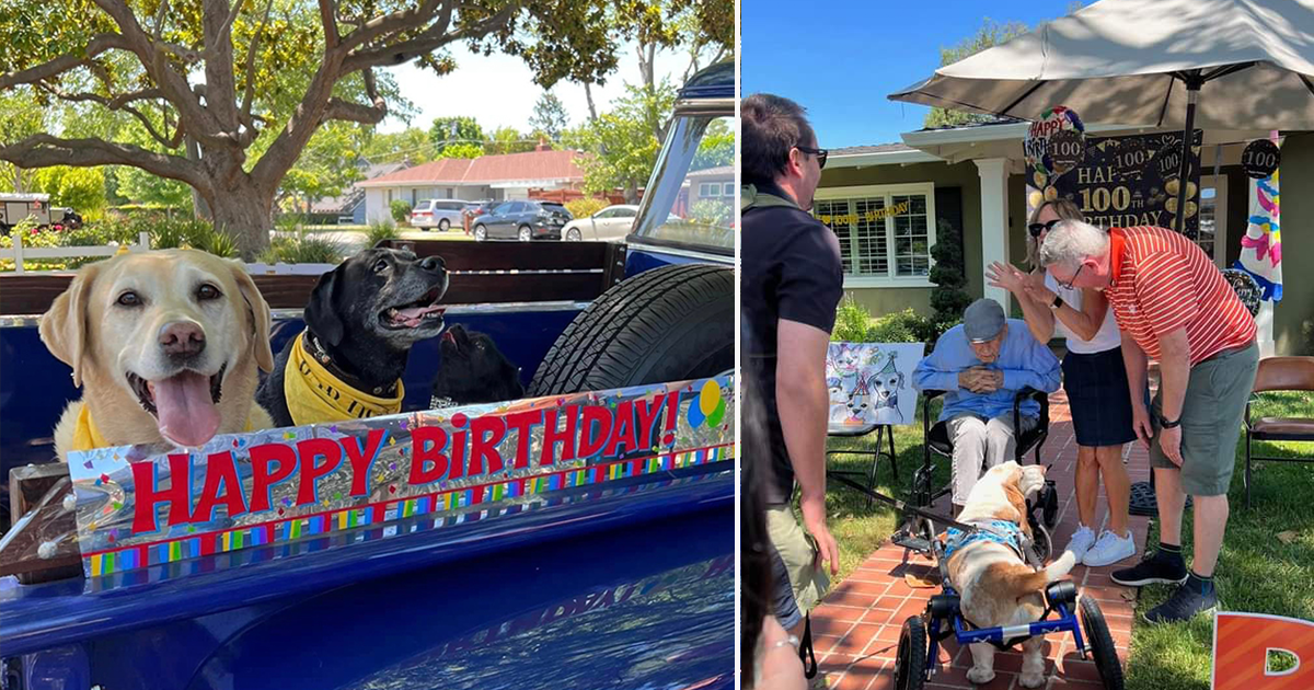 Dog Parade Joined by Strangers Brings Smiles at 100th Birthday