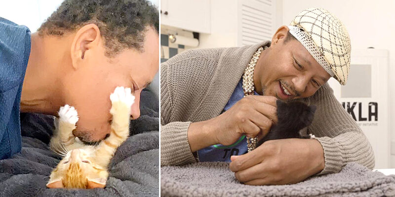 'Show Love Anytime You Can' Says Kitten Lover Terrence Howard