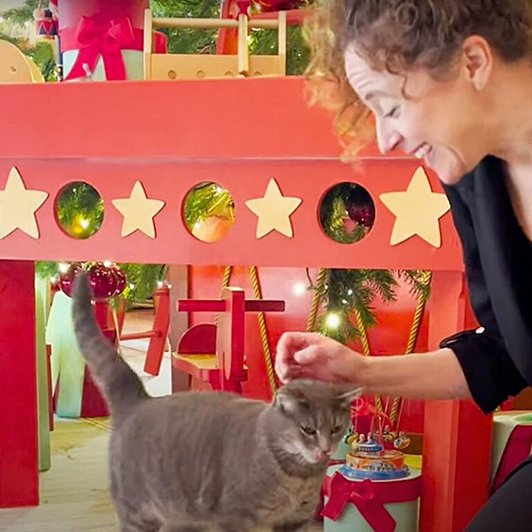 Willow, the First Cat, Having the Best Time in a Winter Wonderland