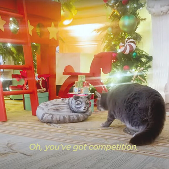 Willow, the First Cat, Having the Best Time in a Winter Wonderland