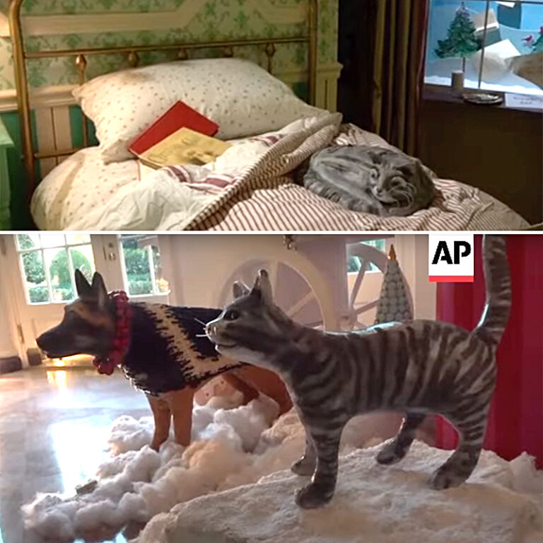 Willow, the First Cat, Having the Best Time in a Winter Wonderland