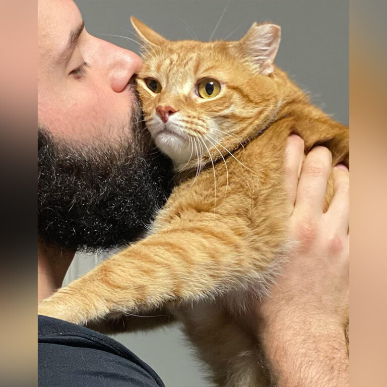 Burly Texan Cat Dad Adores Eight Rescued 'Loaves' and Counting