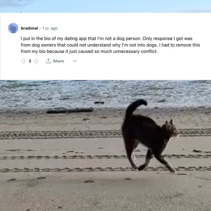 Man Signs ID with Cat Heads But it Comes Back to Scratch Him