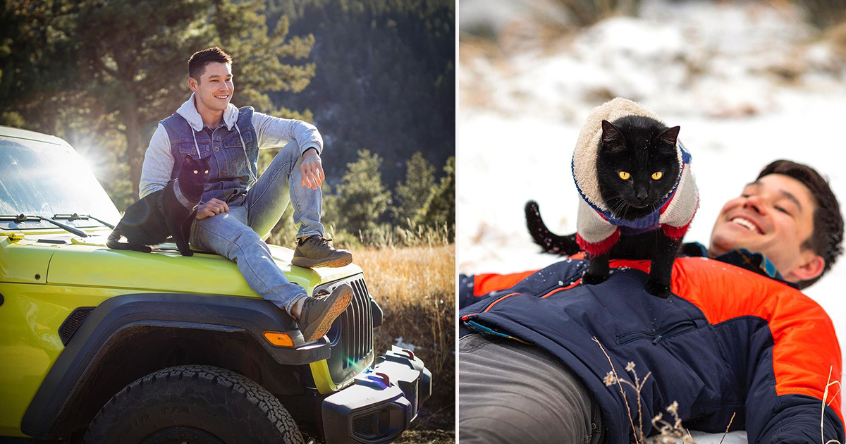 Devil of a Kitten Turns Becomes Man's Dream Companion