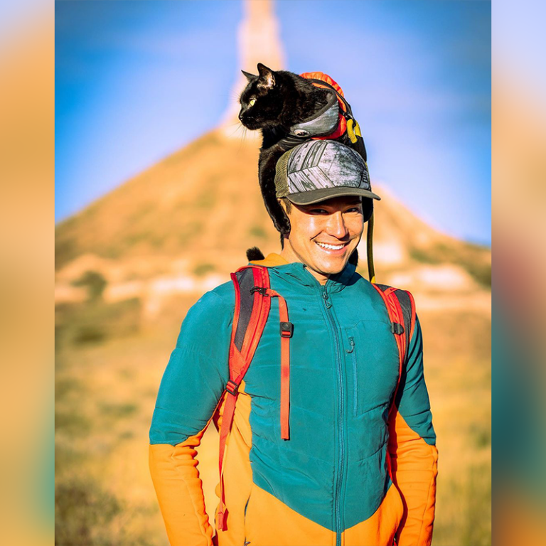 Devil of a Kitten Turns Becomes Man's Dream Companion