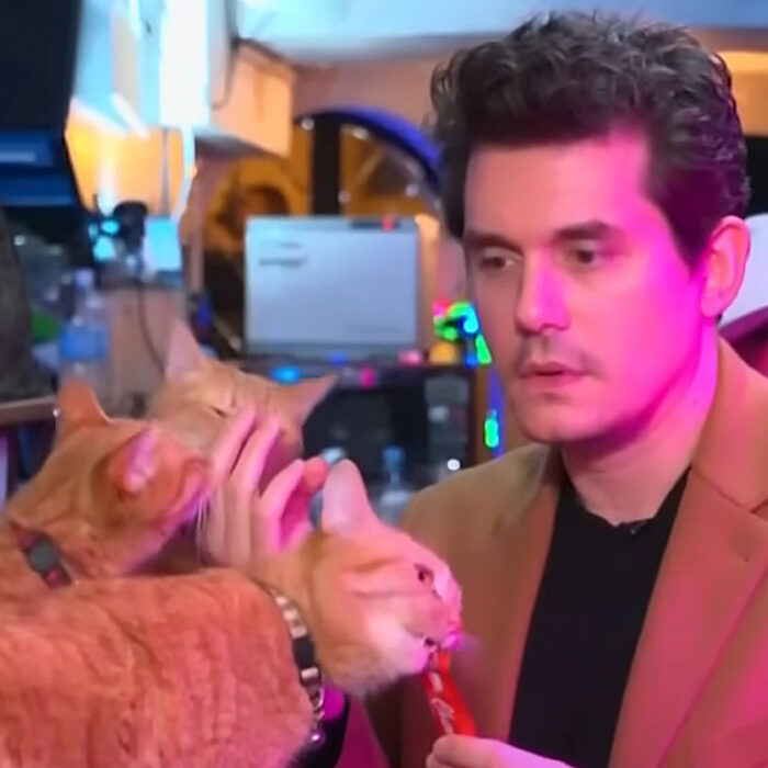 New Year Starts 'Surrounded by Cats' and John Mayer in Tokyo Bar