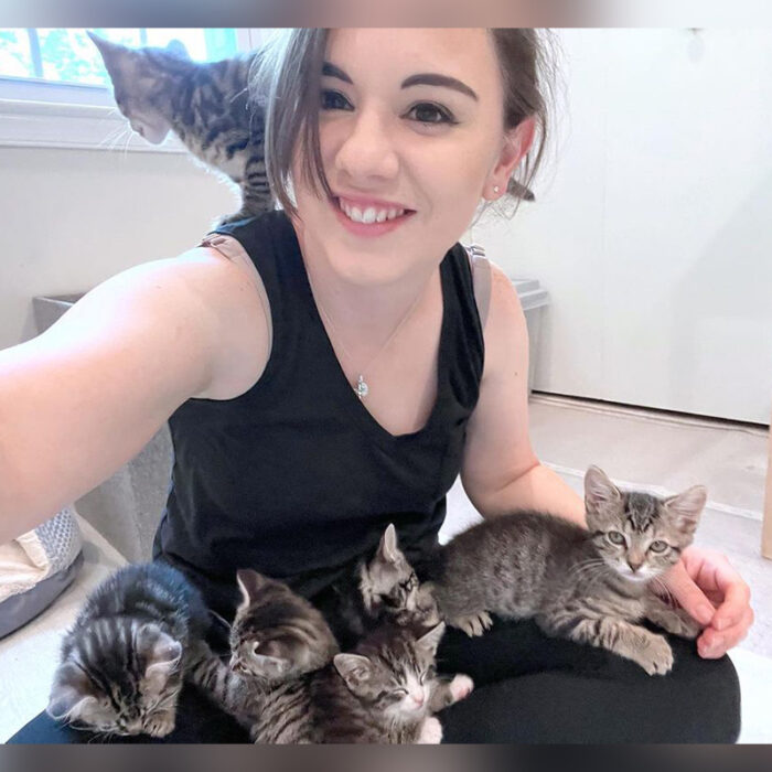 Tumble of Tabby Twins is Like a Dream for Foster Mom